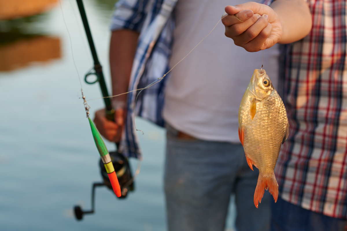 How to Identify Different Species of Fish - Outdoors Report